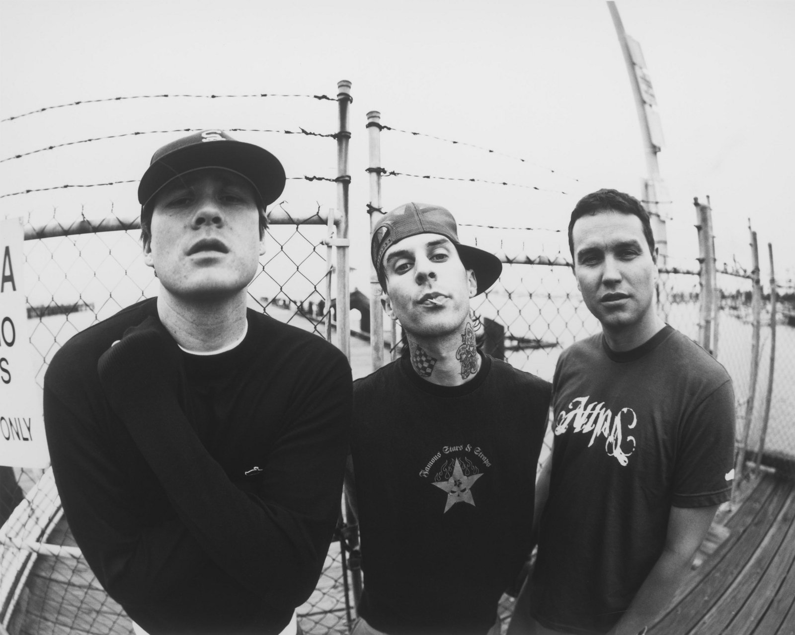 Blink 182 (2003)